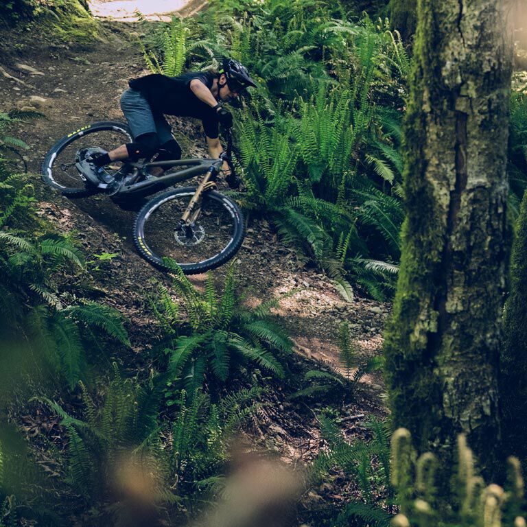 Fox Racing® Netherland - Officiële Website - MX, MTB & Kleding